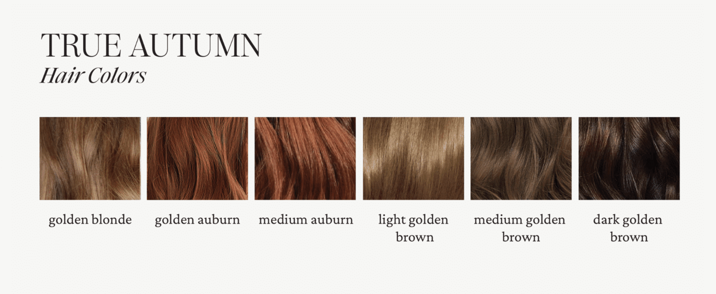 True Autumn Color Palette: The Ultimate Guide to Iconic Style | The ...