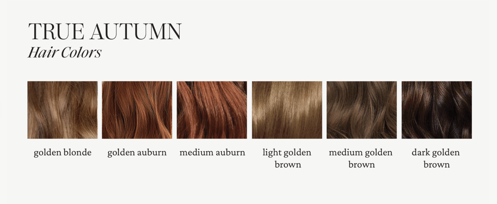 True Autumn Color Palette: The Ultimate Guide to Iconic Style | The ...