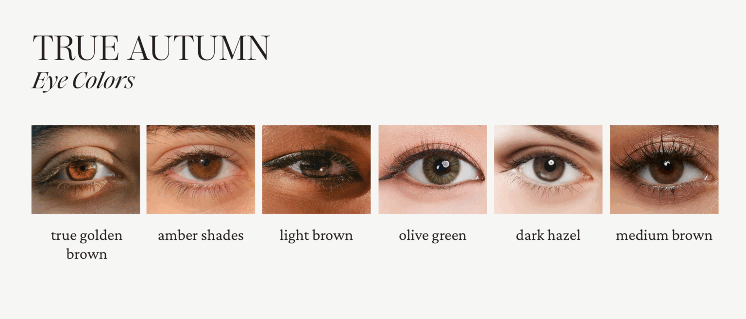 True Autumn Color Palette: The Ultimate Guide to Iconic Style | The ...
