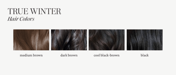 True Winter Color Palette: The Ultimate Guide to Iconic Style